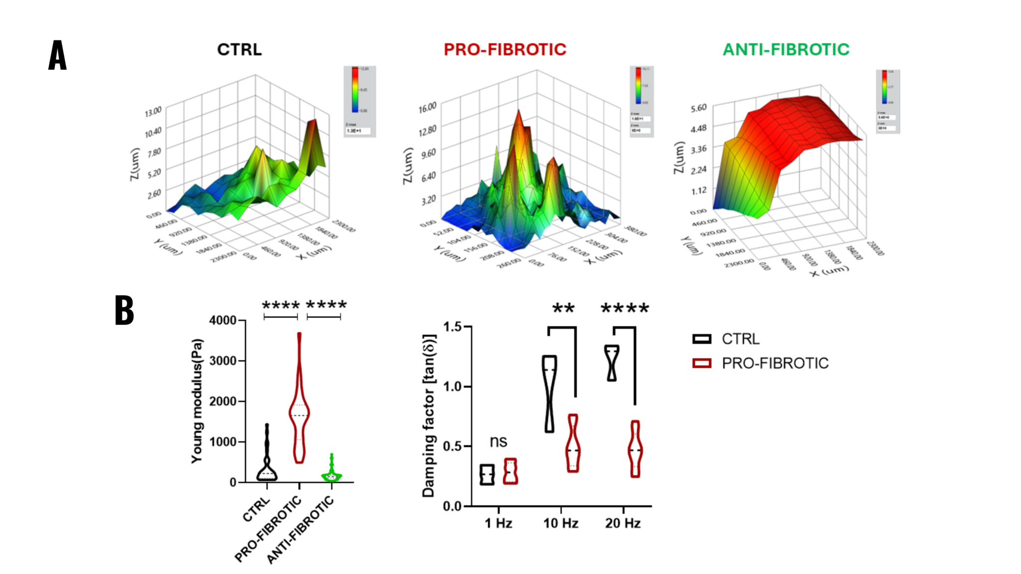 Fibrosis: Discover mechanics in preclinical research - Optics11 Life