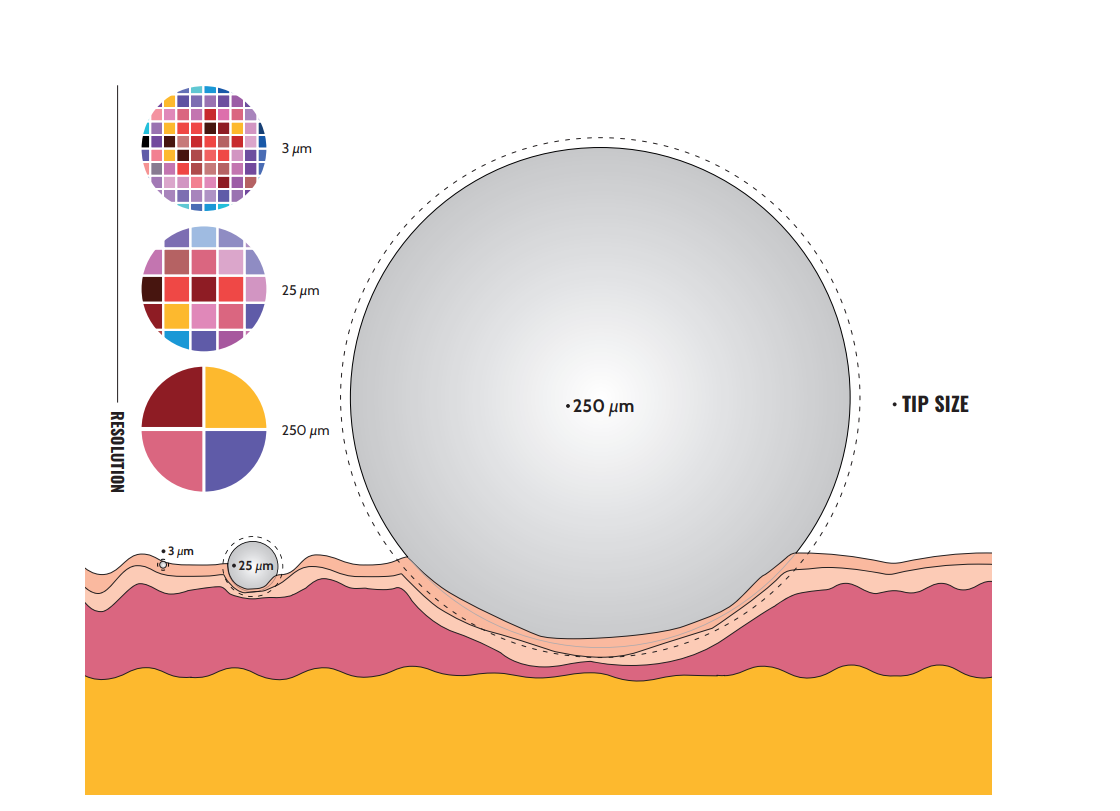 From single cells to complex 3D environments - Optics11 Life