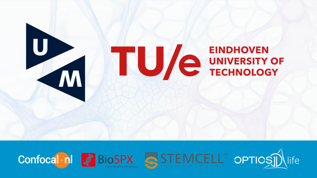 Shaping the Future of Vascular Health: The CELLSYSTEMICS Platform ...