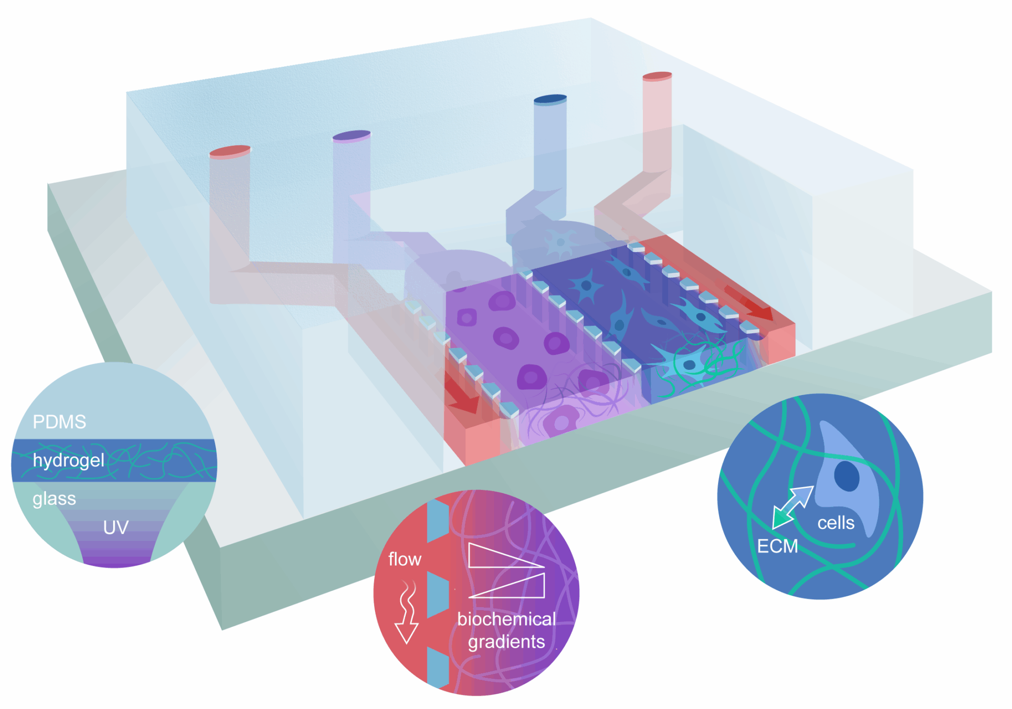 App note: Mechanical characterization on-chip - Optics11 Life