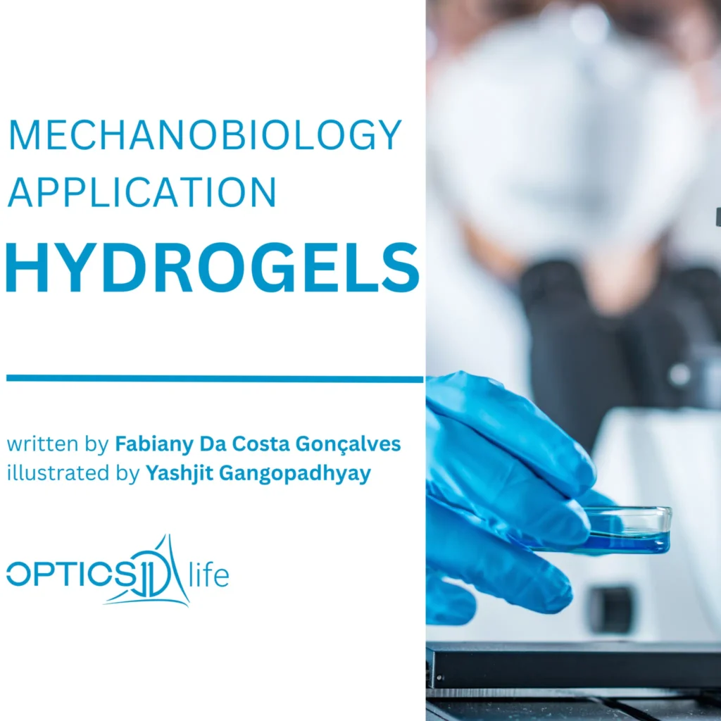 Hydrogel mechanics are a key driver in bioengineering - Optics11 Life