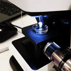 Nanoindentation Publications Q1 - Optics11 Life