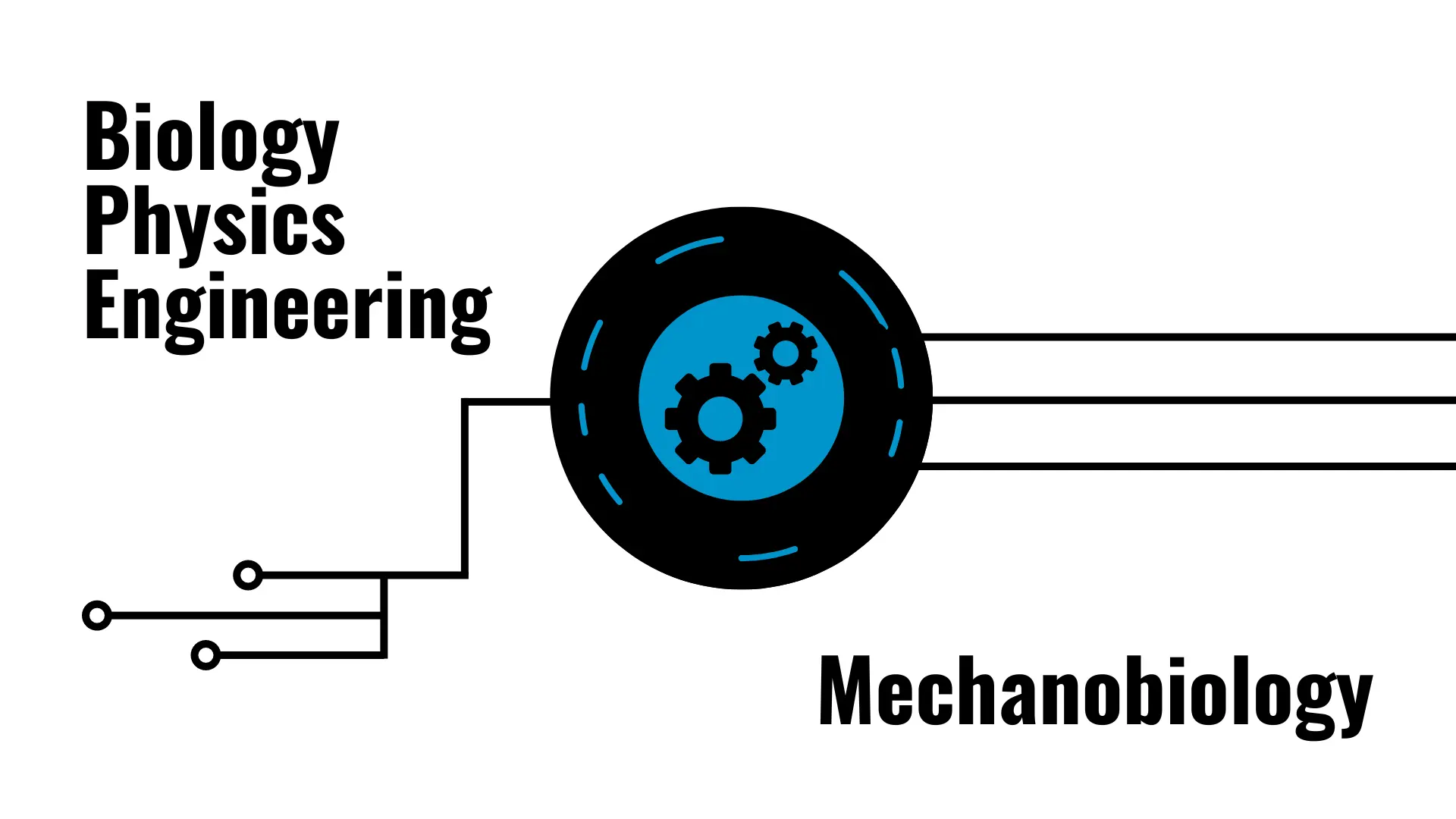 The future of mechanobiology - Optics11 Life